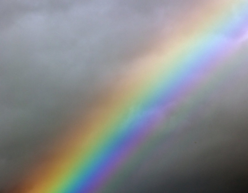 This Rainbow – Psaltery & Lyre