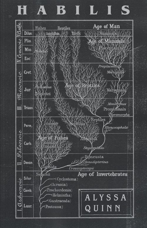 Book Review: “Habilis” by Alyssa Quinn – Psaltery & Lyre