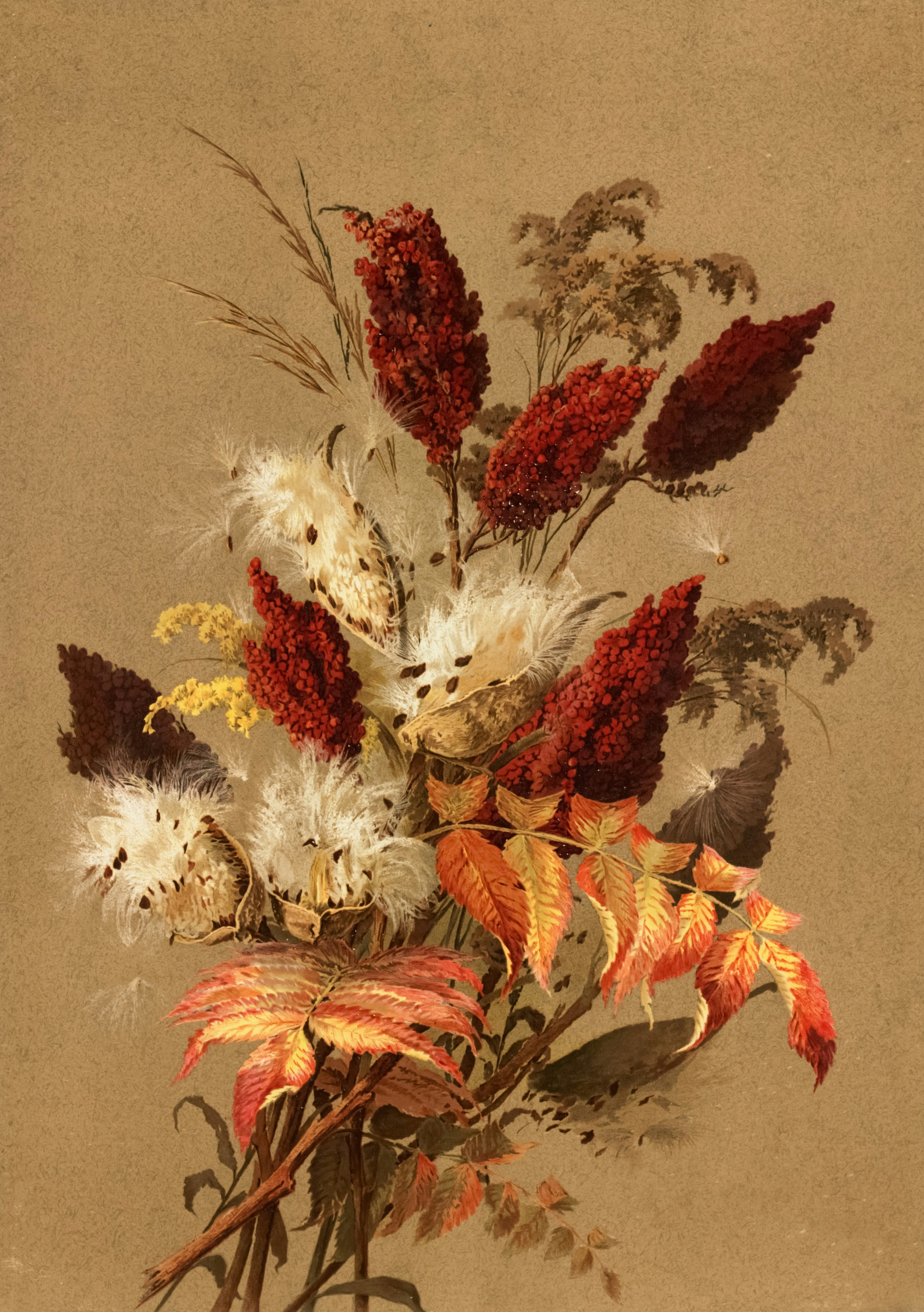 Milkweed – Psaltery & Lyre